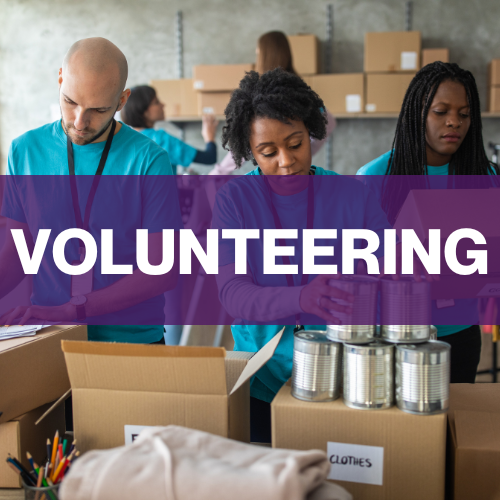 Hartlepool Now :: Virtual Job and Volunteering Centre